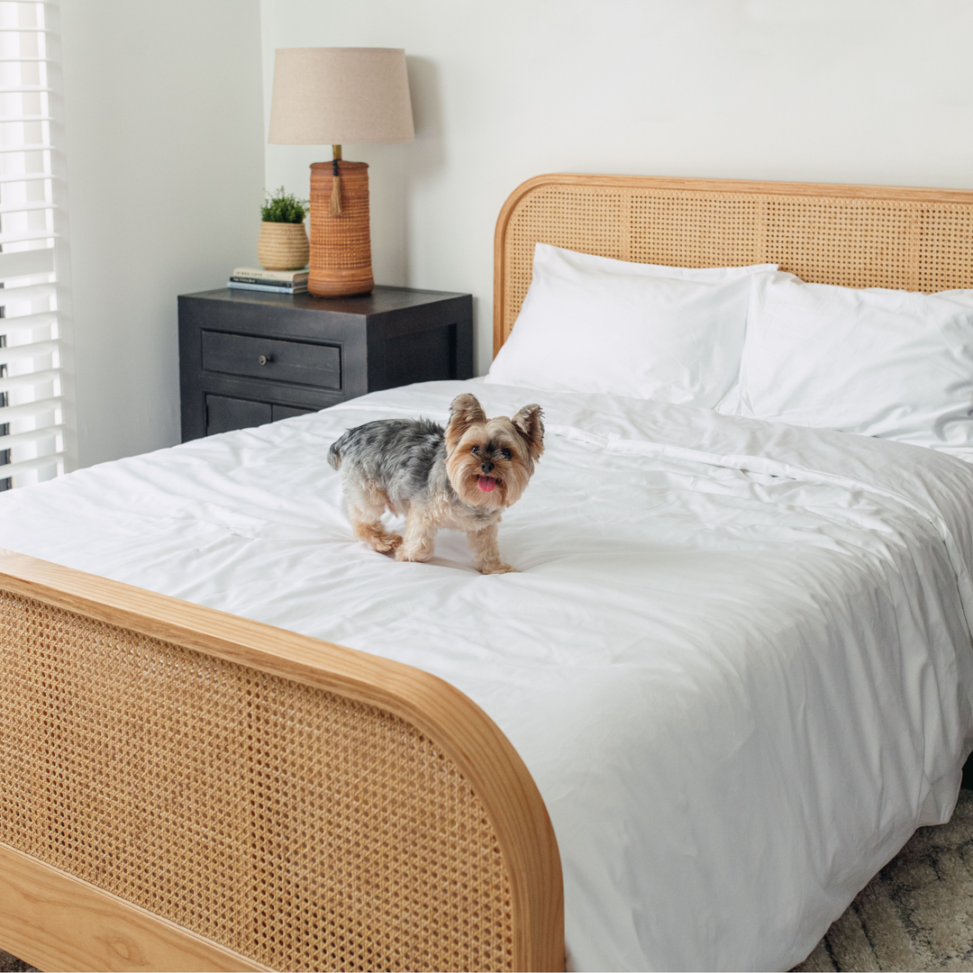 Dog-Friendly Duvet Cover Set – Paw.com