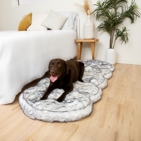 Luxe Faux Fur Memory Foam Dog Bed, Ultra Plush Arctic Fox – Paw.com