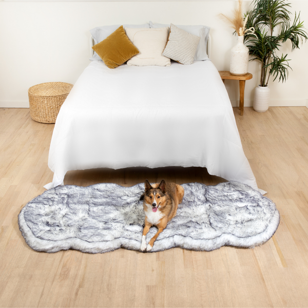 PupRug by Paw.com™ Memory Foam Dog Bed Runner