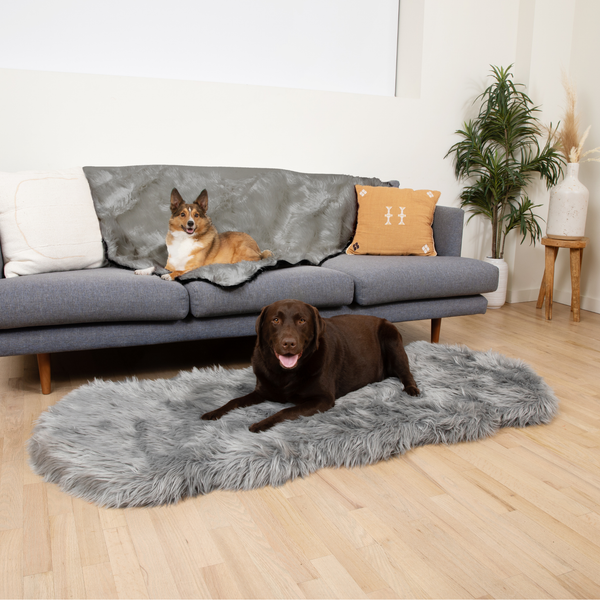 PupRug™ Bundle: Curve Runner Rug & Waterproof Blanket, Grey – Paw.com