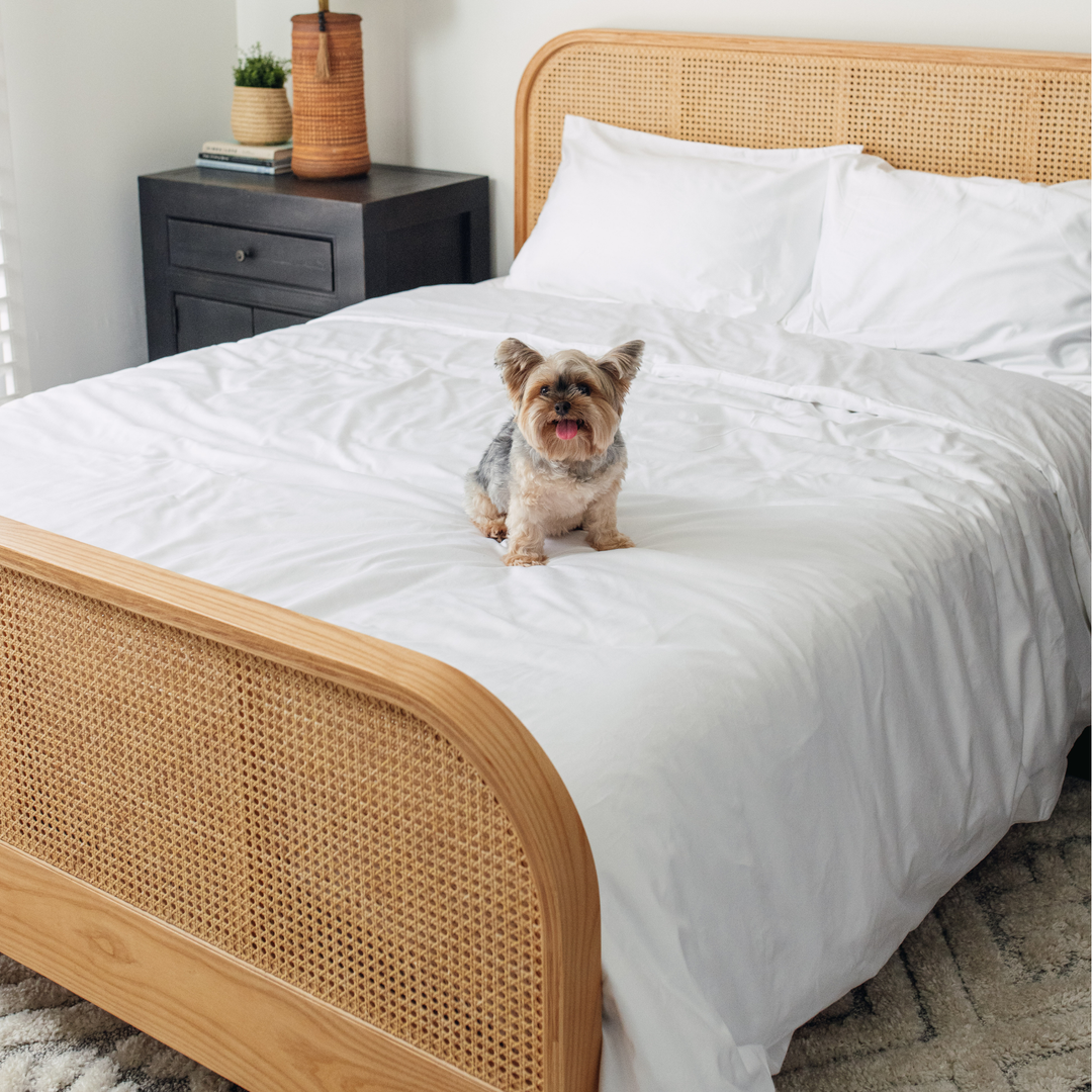 Dog-Friendly Duvet Cover Set – Paw.com