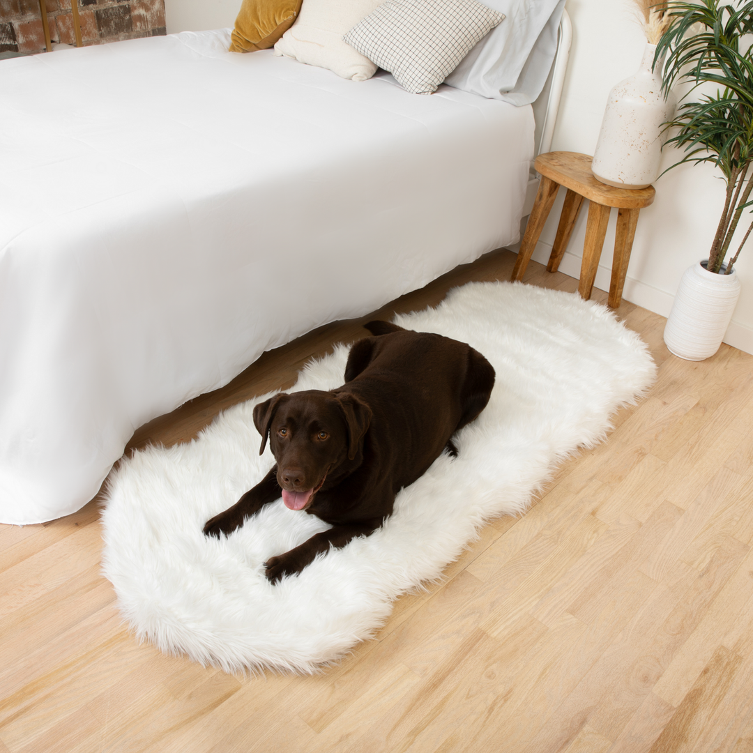 PupRug® by Paw.com Memory Foam Dog Bed Runner