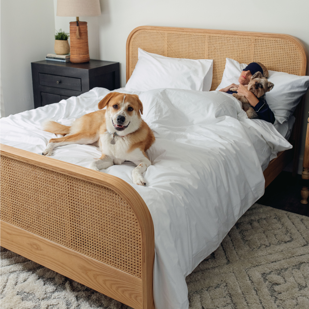 Dog-Friendly Duvet Cover Set – Paw.com