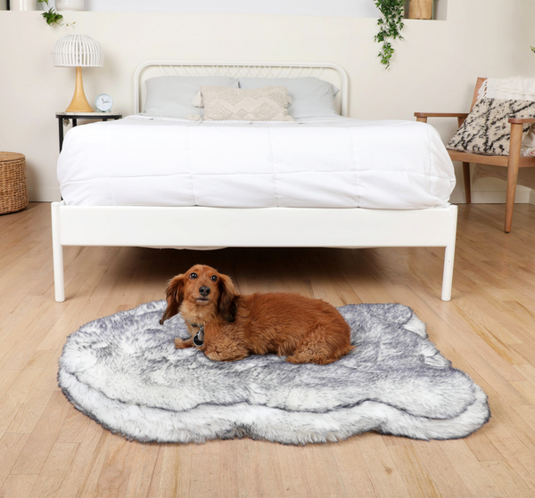 The Dog Bed That Looks Like a Luxe Area Rug – Paw.com