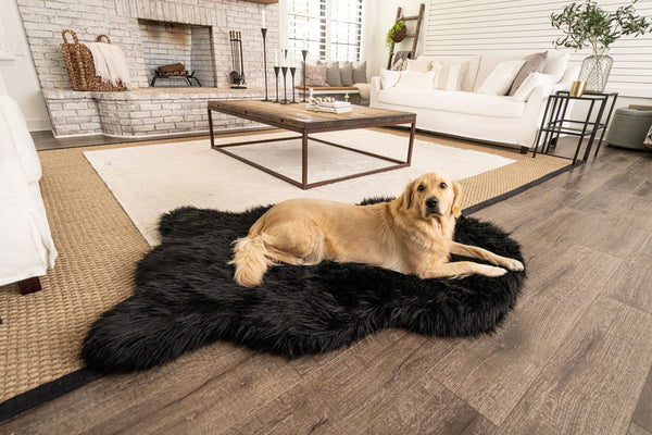 The Dog Bed That Looks Like a Rug - Curve Black – Paw.com
