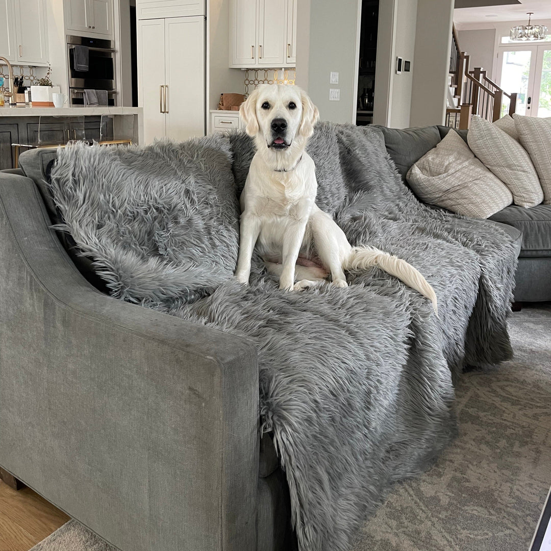 PupProtector™ Dig Blanket for Couch, Charcoal Grey – Paw.com