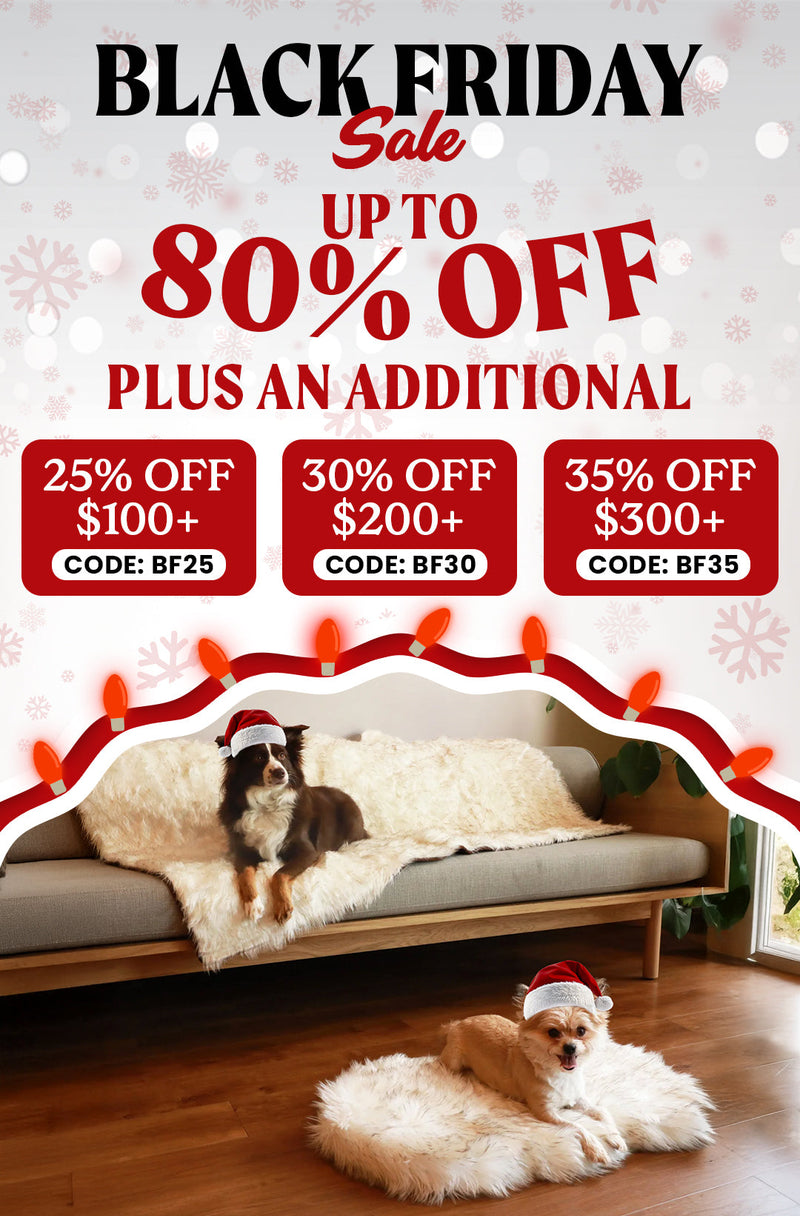 Luxury Waterproof Dog Blankets, Beds & More by Paw.com