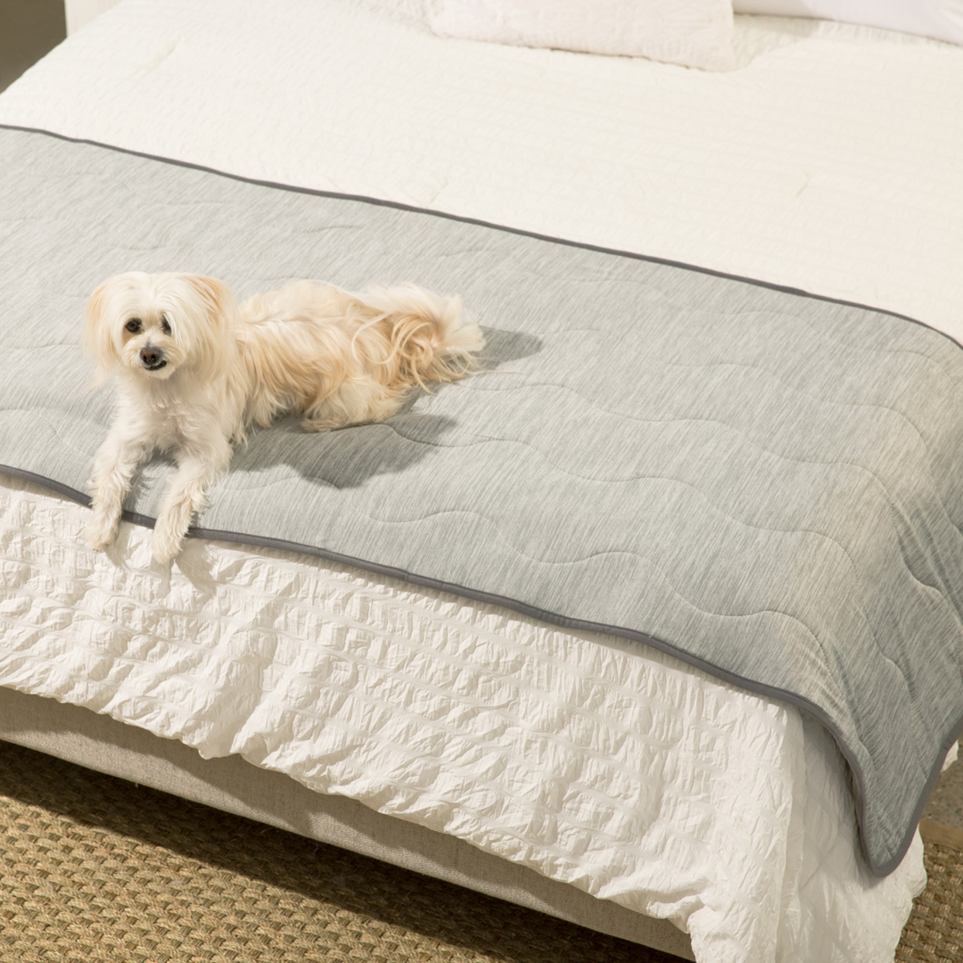 PupChill™ Cooling Waterproof Runner Blanket - Arctic Grey – Paw.com