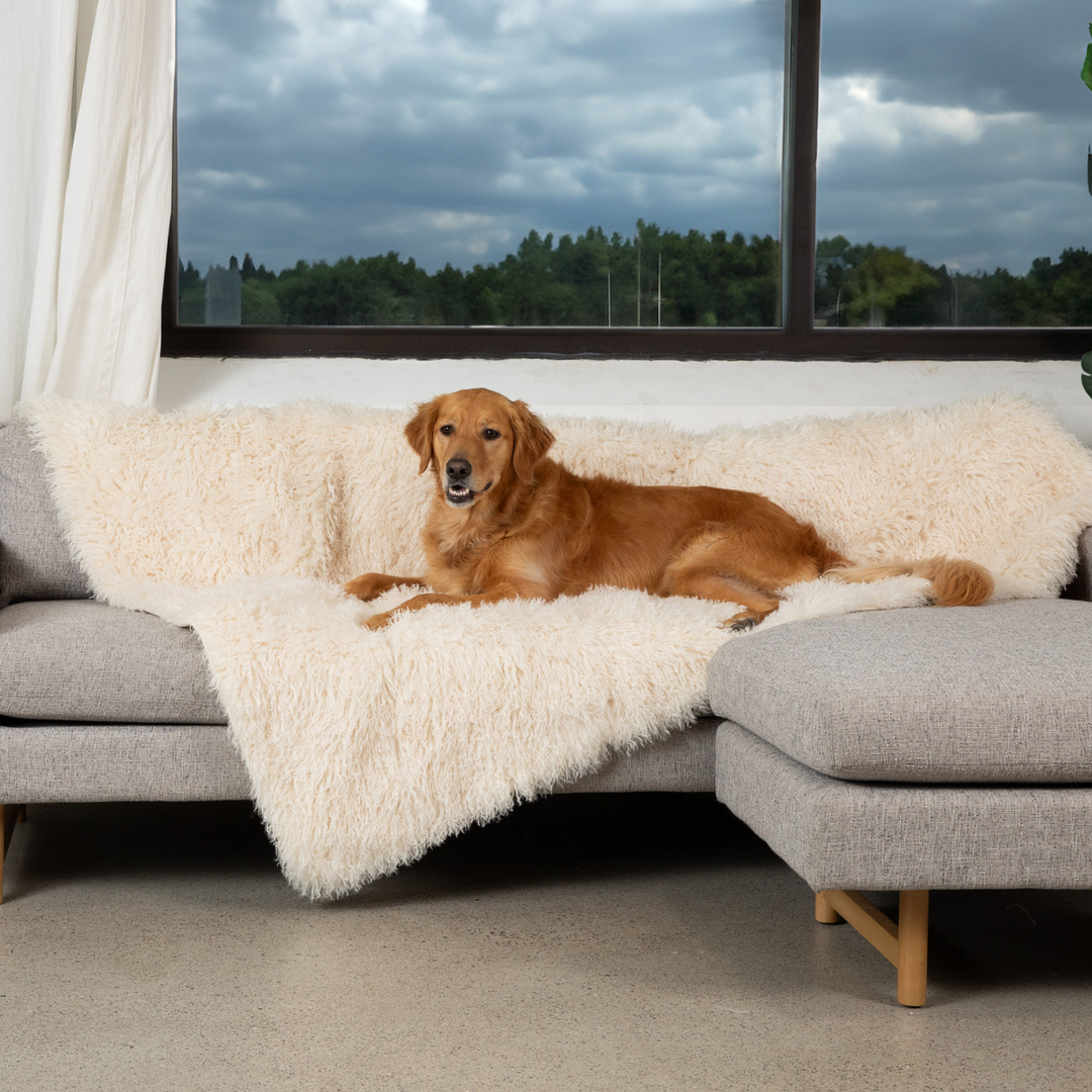 PupProtector™ Luxe Waterproof Blanket - Sheep Ivory – Paw.com