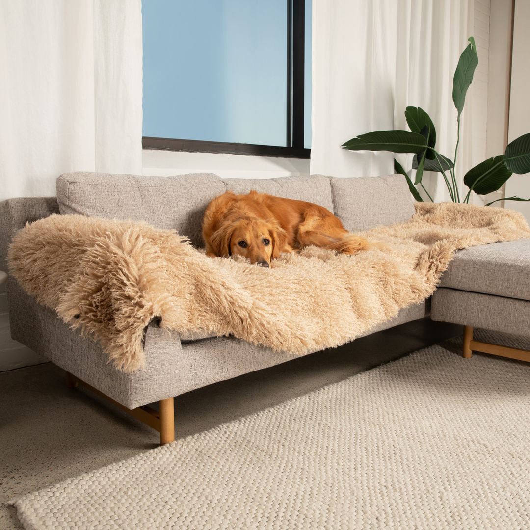 PupProtector™ Luxe Waterproof Bed Runner - Plush Sheep Tan – Paw.com