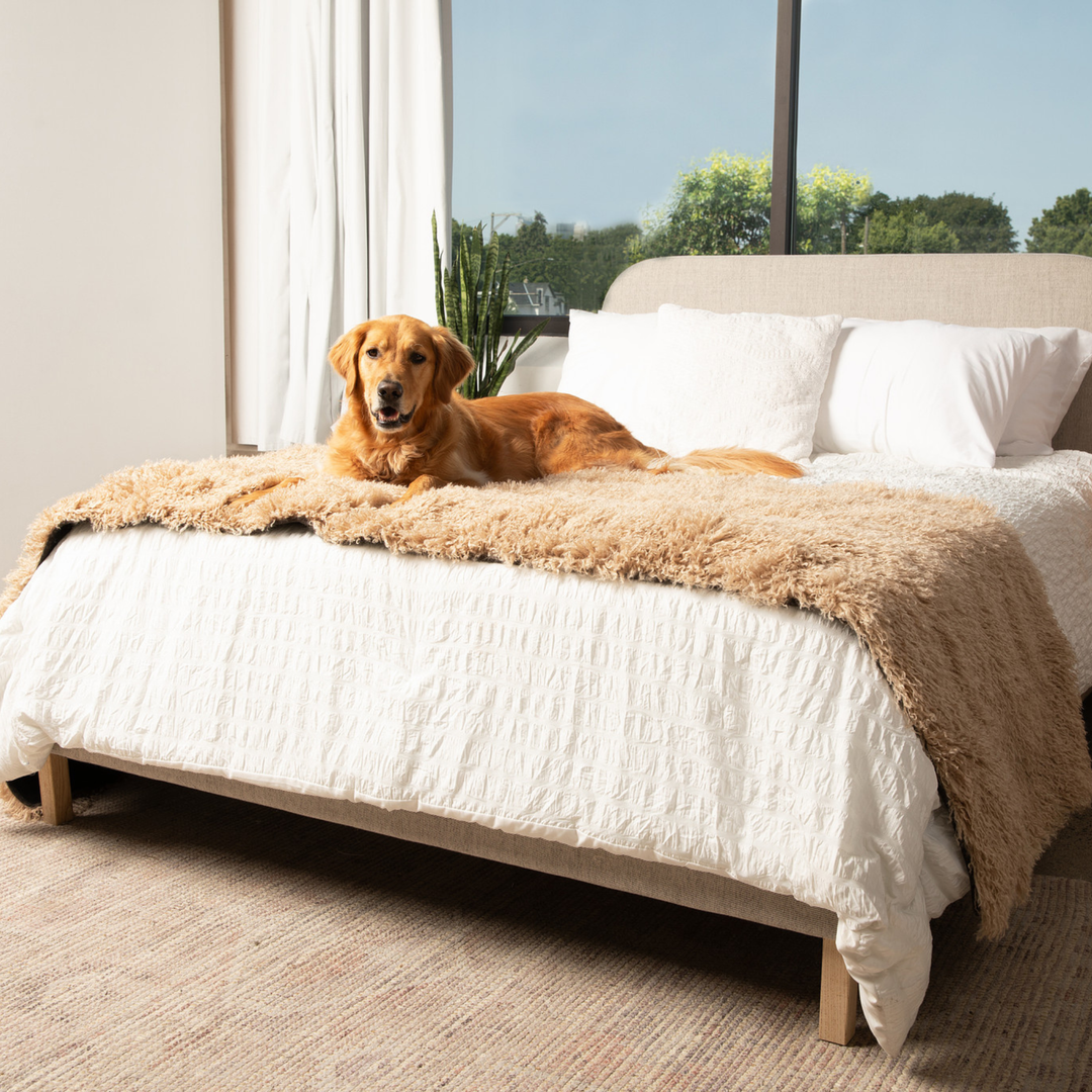 PupProtector™ Luxe Waterproof Bed Runner - Plush Sheep Tan – Paw.com