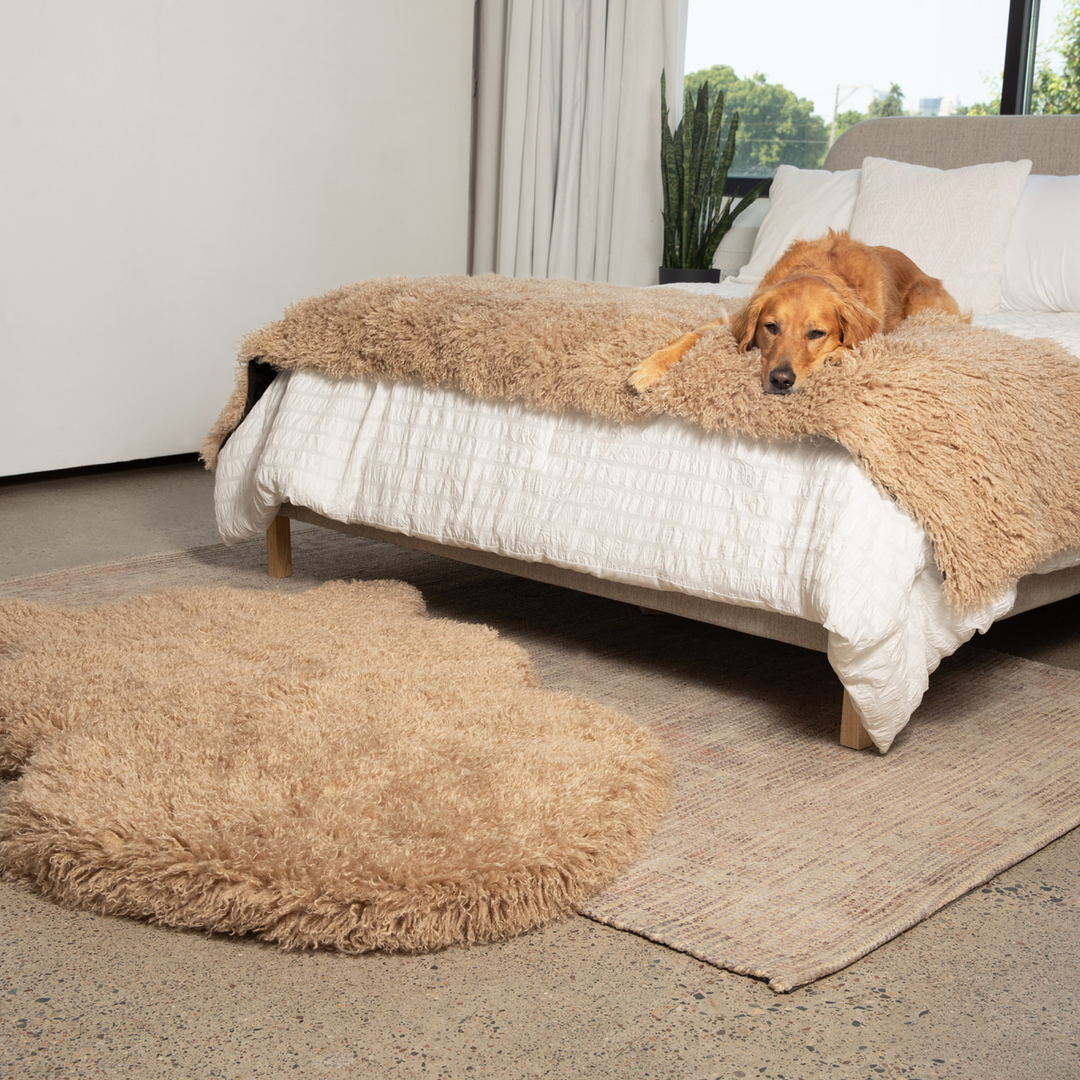 PupRug® Luxe Dog Bed & Runner Bundle, Plush Tan – Paw.com