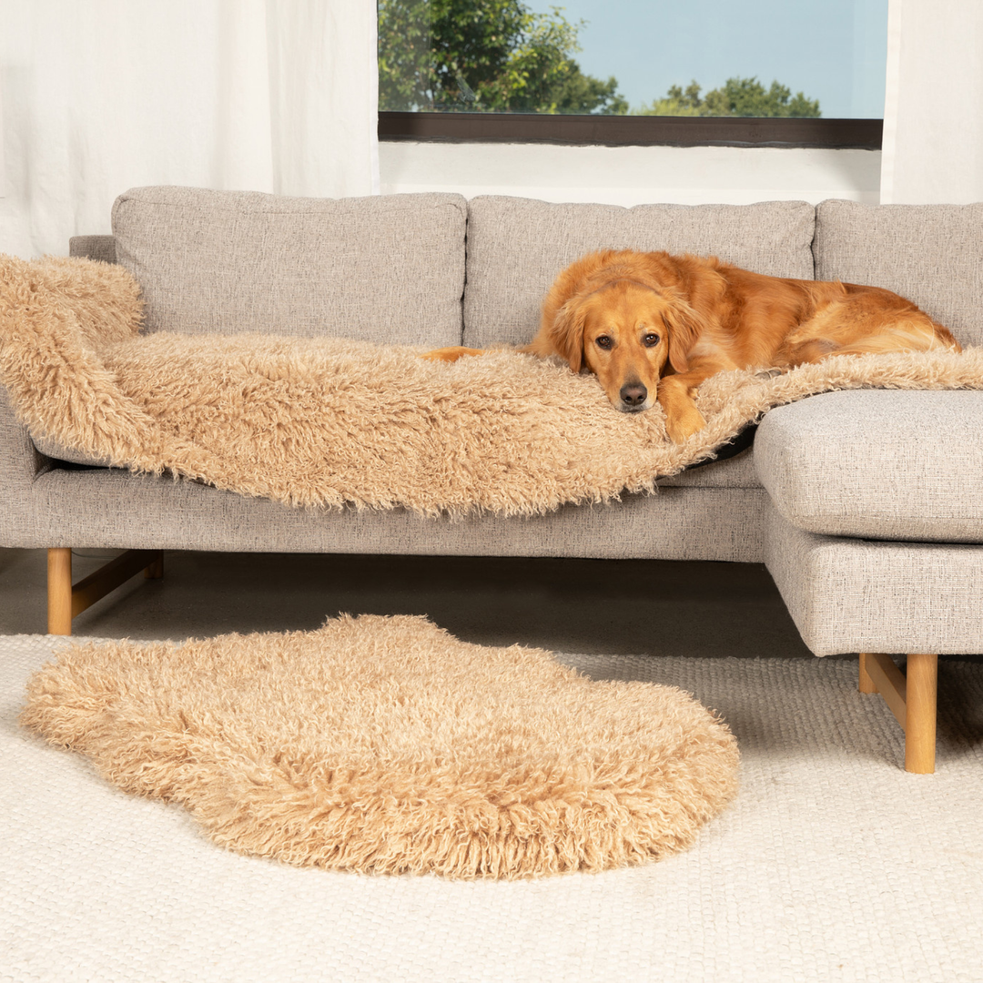 PupRug® Luxe Dog Bed & Runner Bundle, Plush Tan – Paw.com