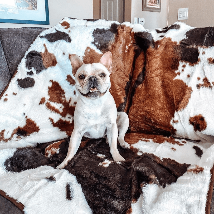 PupProtector™ Dog Blanket for Couch- Faux Brown Cowhide – Paw.com
