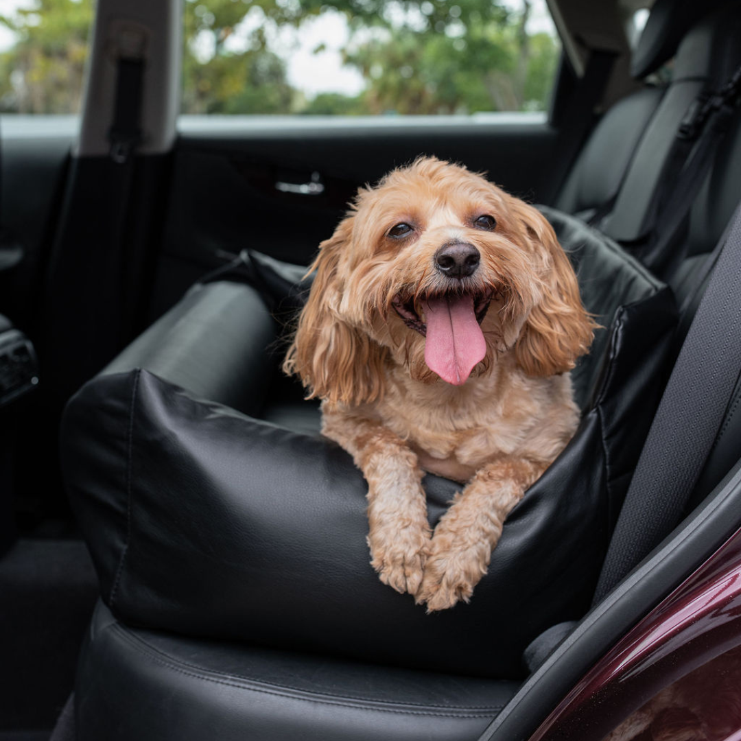 PupProtector™ Faux Leather Memory Foam Dog Car Bed - Black – Paw.com
