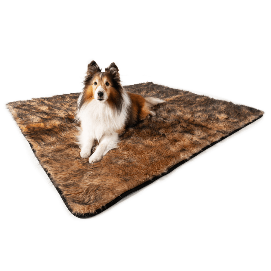 PupProtector™ Dog Blanket For Couch- Sable Tan – Paw.com