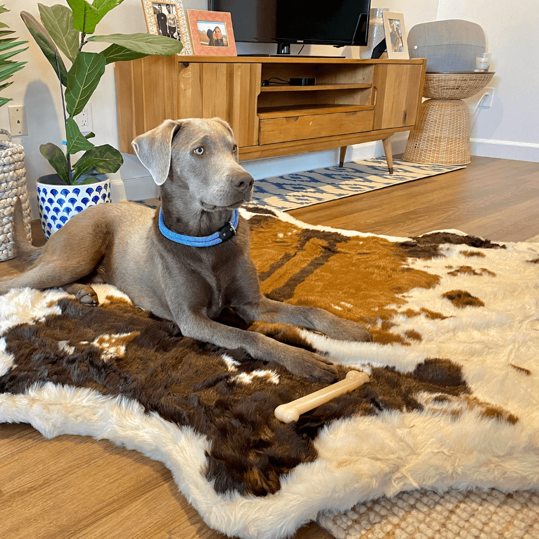 Brown Faux Cowhide Dog Bed - Rug Look – Paw.com