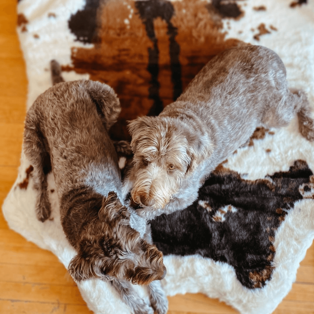 Brown Faux Cowhide Dog Bed - Rug Look – Paw.com