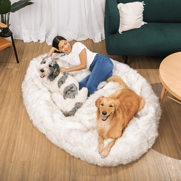 PupCloud™ Human Sized Dog Bed - White with Brown Accents – Paw.com