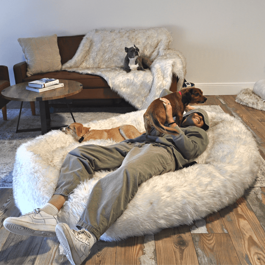 PupCloud™ Human Sized Dog Bed - White with Brown Accents – Paw.com