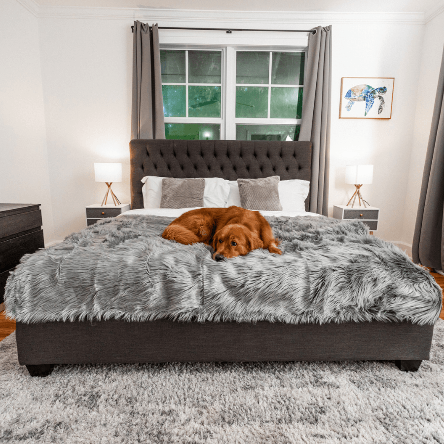 PupProtector™ Dig Blanket for Couch, Charcoal Grey – Paw.com
