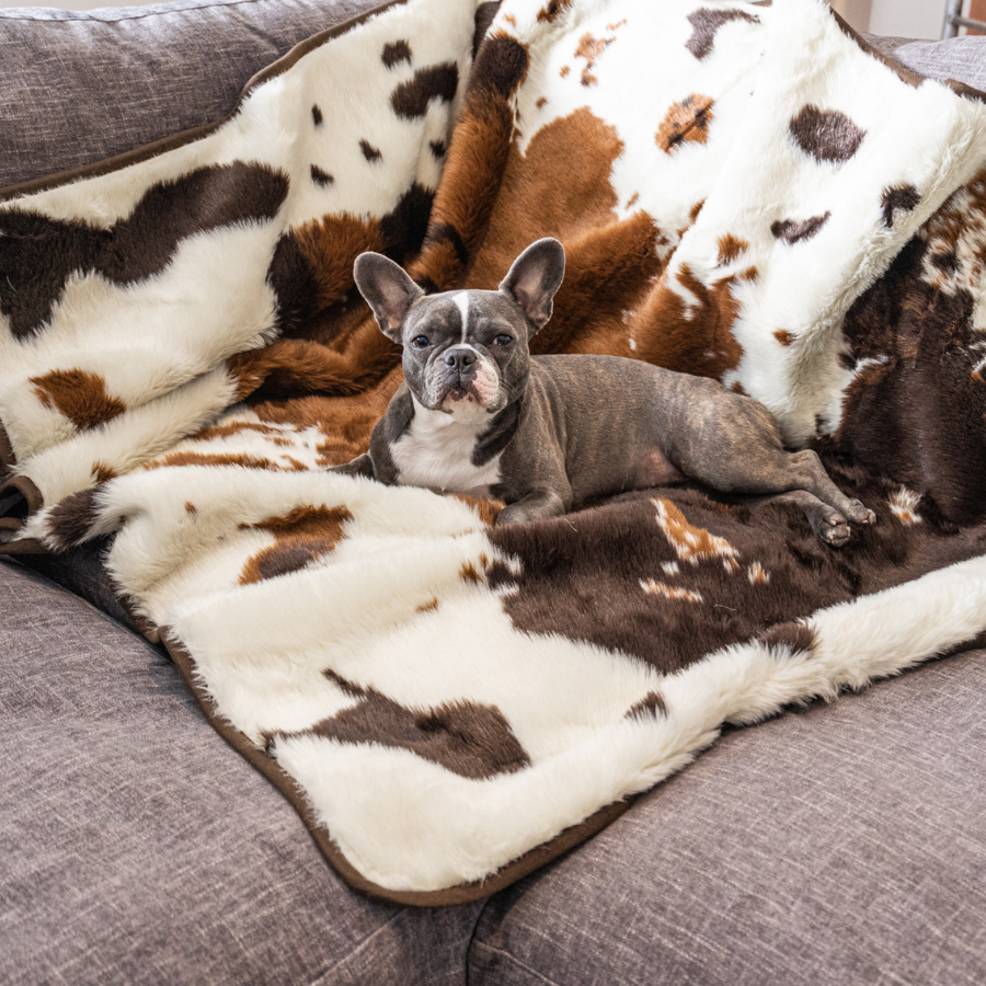 PupProtector™ Dog Blanket for Couch- Faux Brown Cowhide – Paw.com