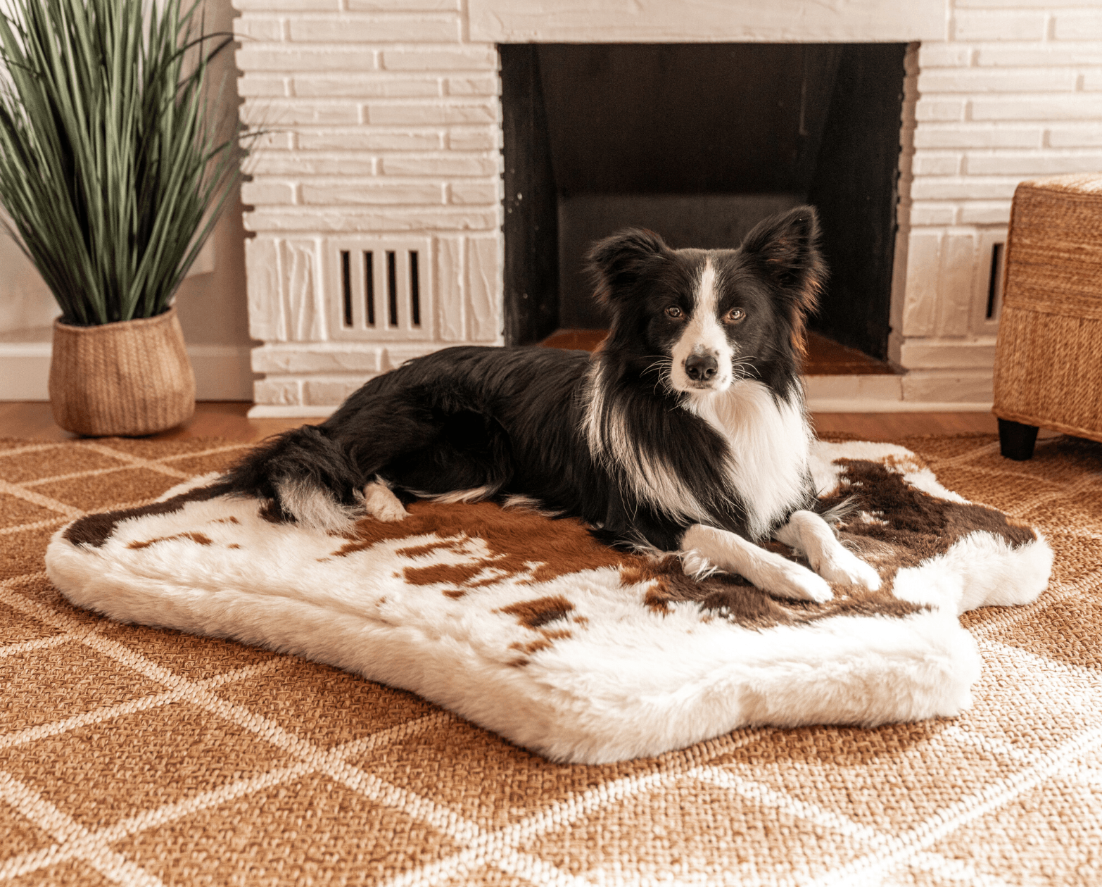 The Faux Cowhide Dog Bed That Looks Like a Rug- Brown Cowhide – Paw.com
