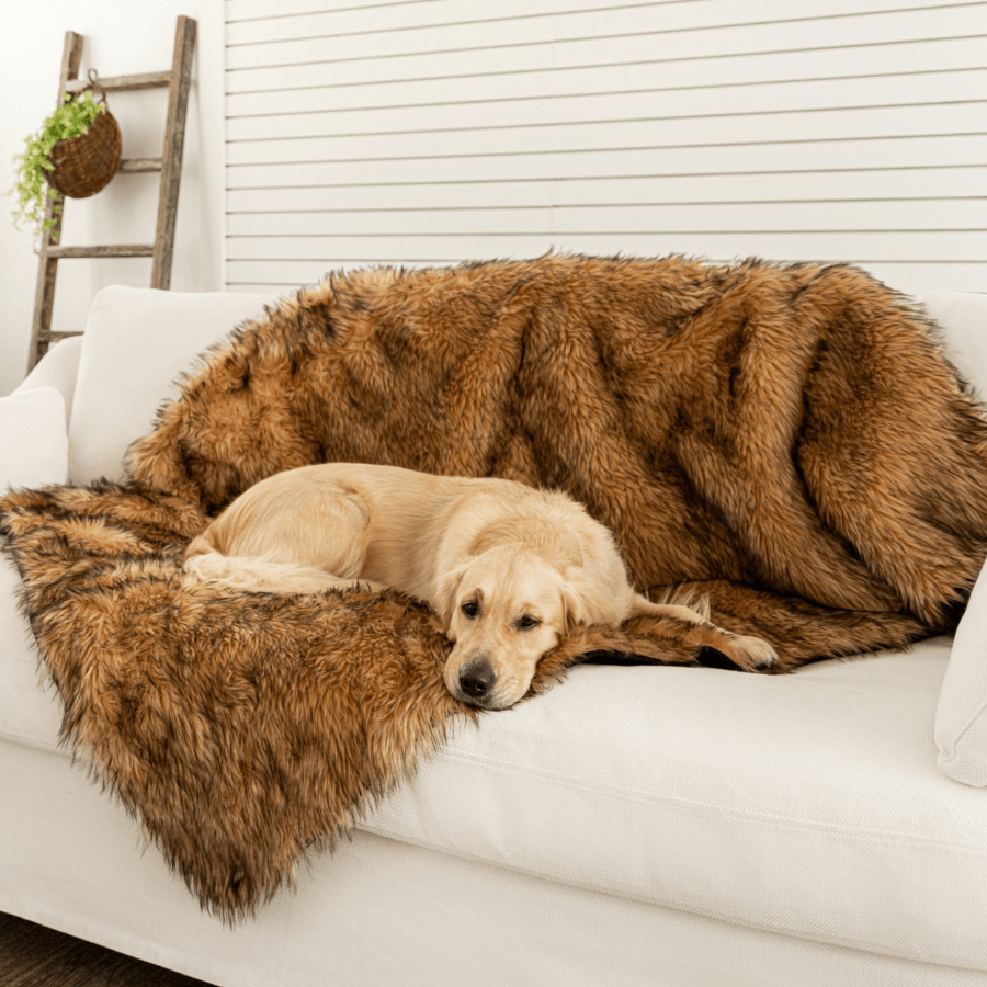PupProtector™ Dog Blanket For Couch- Sable Tan – Paw.com