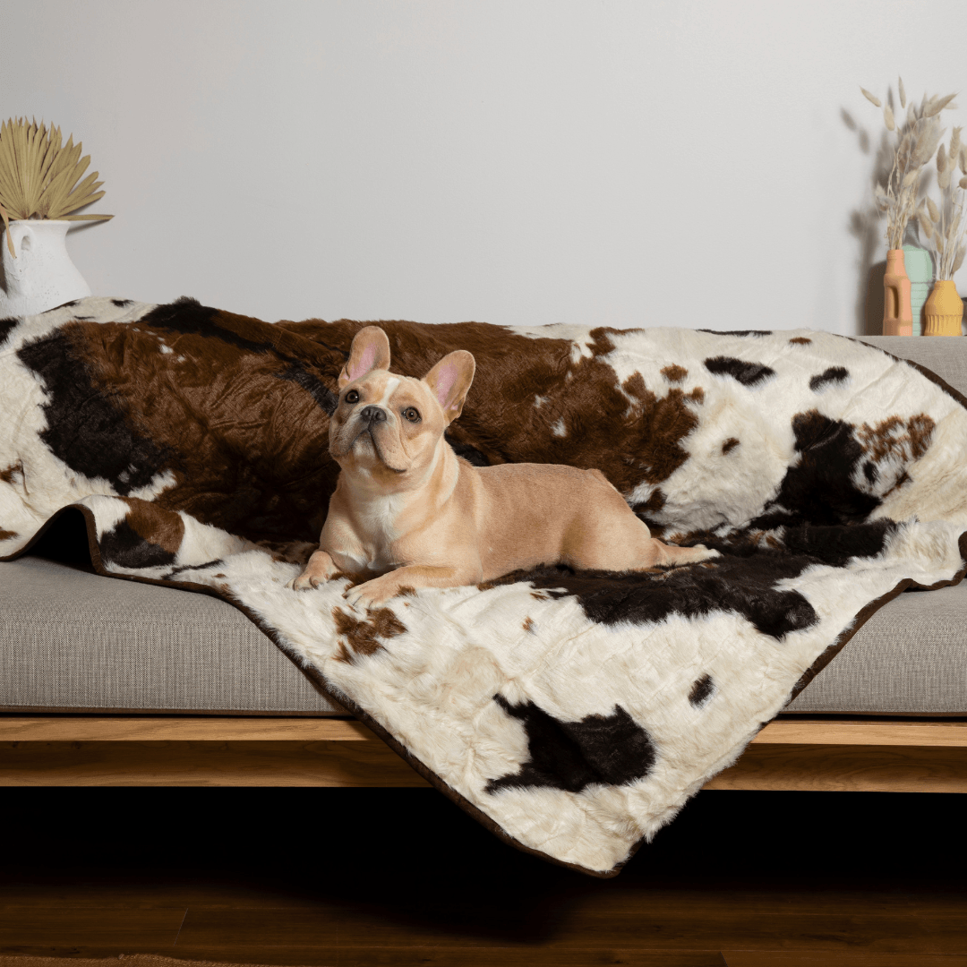 PupProtector™ Dog Blanket for Couch- Faux Brown Cowhide – Paw.com