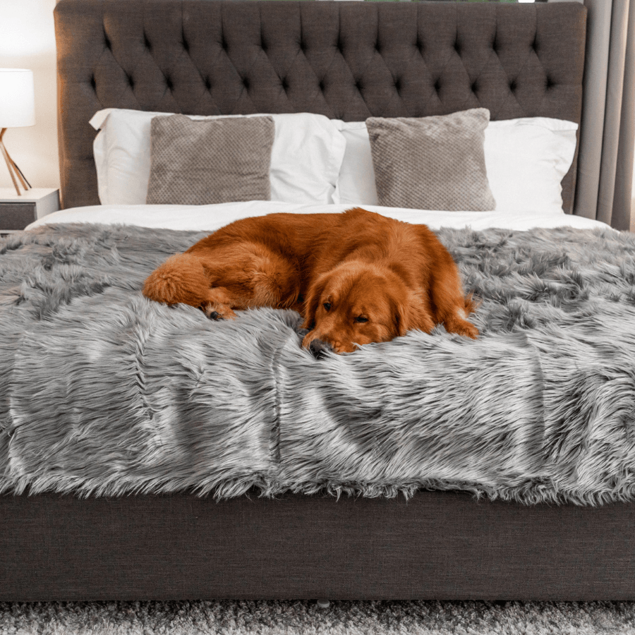 PupProtector™ Dig Blanket for Couch, Charcoal Grey – Paw.com