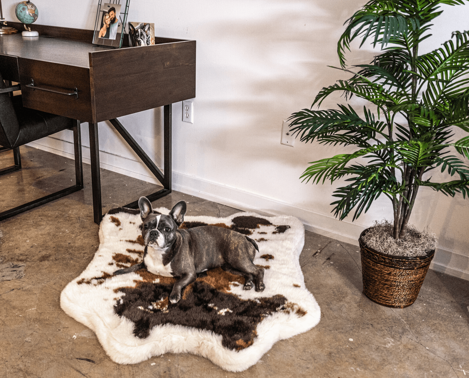 Brown Faux Cowhide Dog Bed - Rug Look – Paw.com