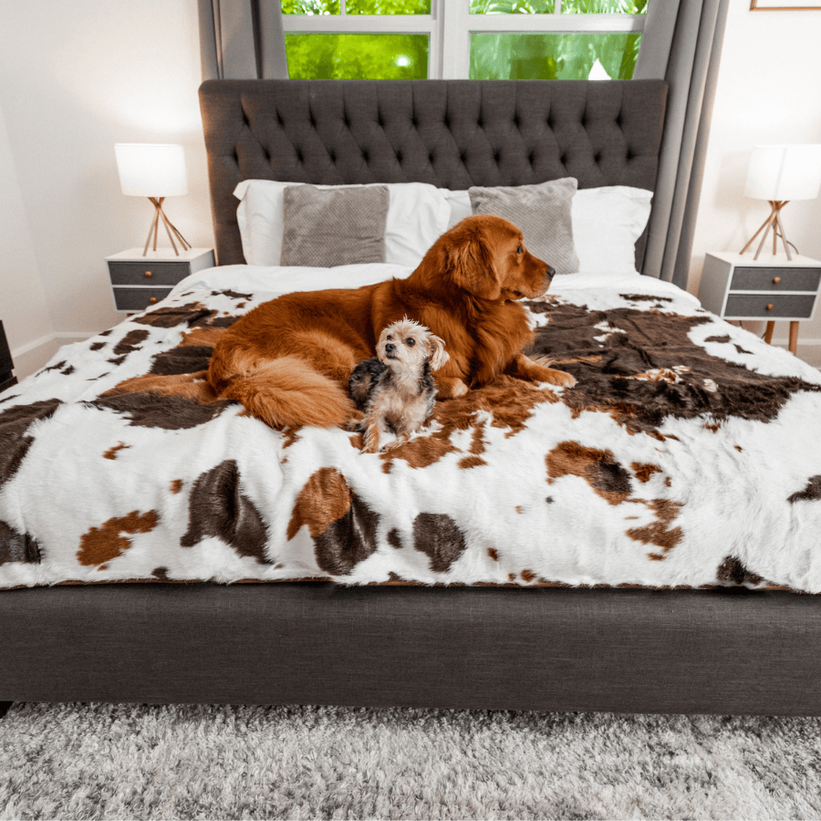 PupProtector™ Dog Blanket for Couch- Faux Brown Cowhide – Paw.com