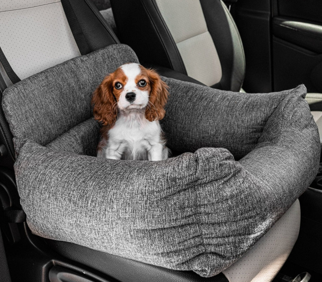 Dog Car Seats & Boosters | PupProtector™ by Paw.com