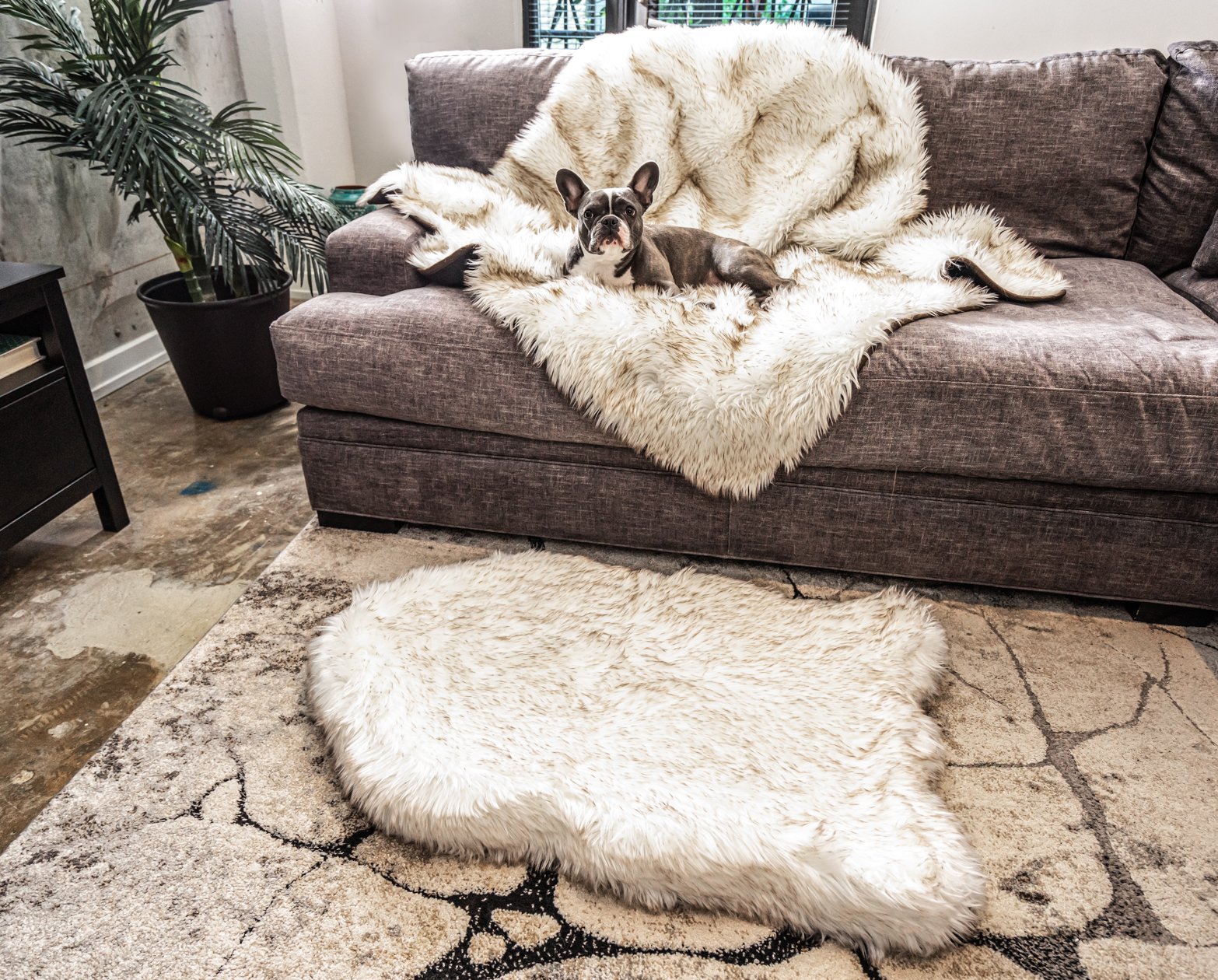 PupRug™ Bundle: Curve Runner Rug & Waterproof Dog Blanket, White – Paw.com
