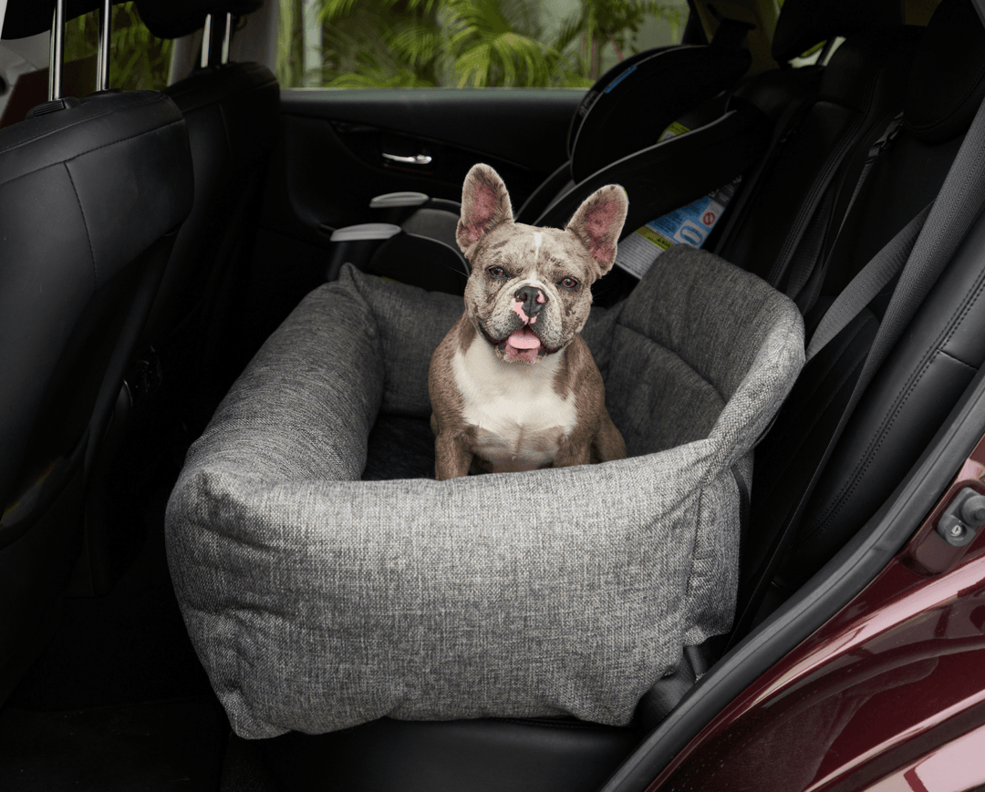 Dog Car Seats & Boosters | PupProtector™ by Paw.com