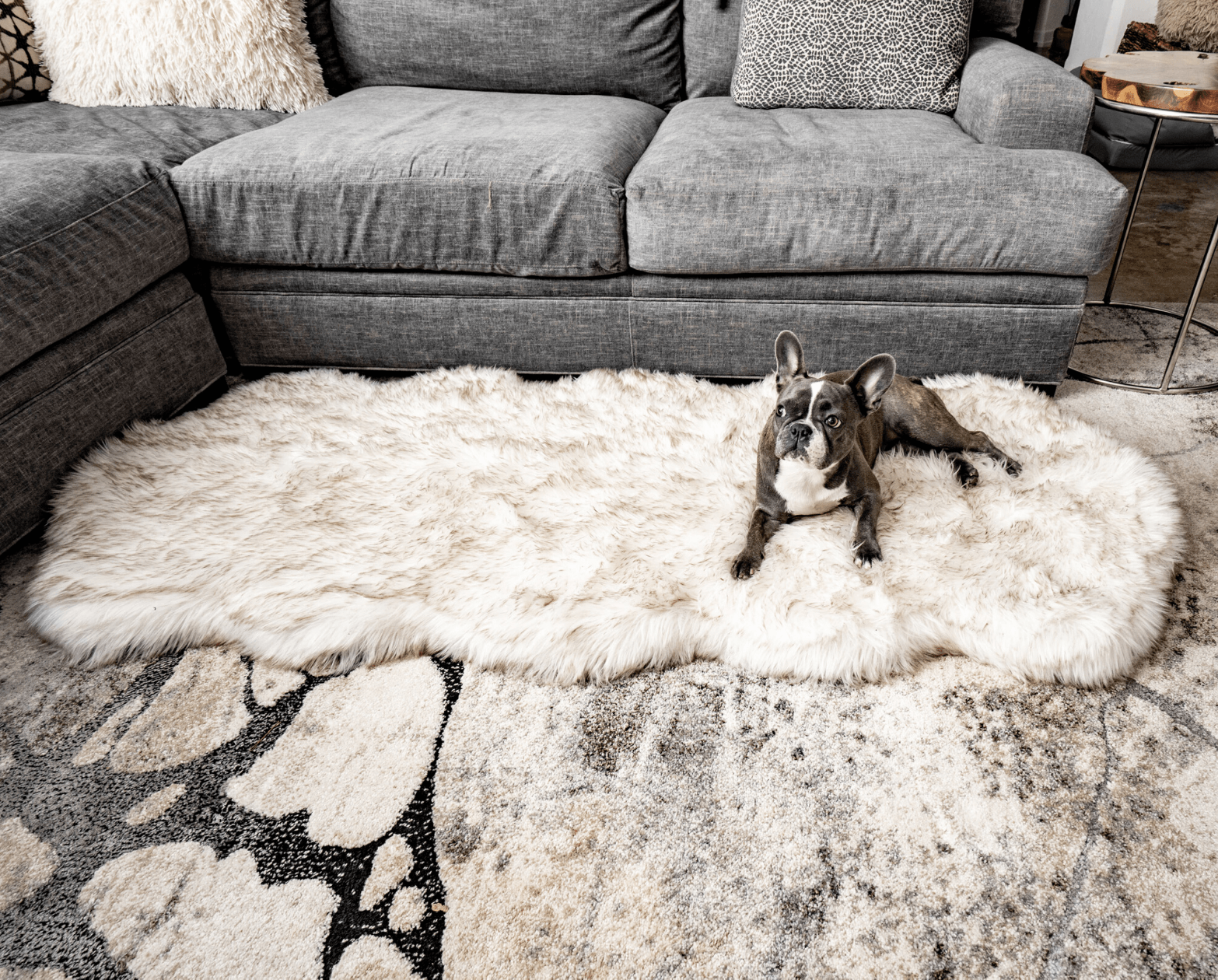 PupRug by Paw.com™ Memory Foam Dog Bed Runner