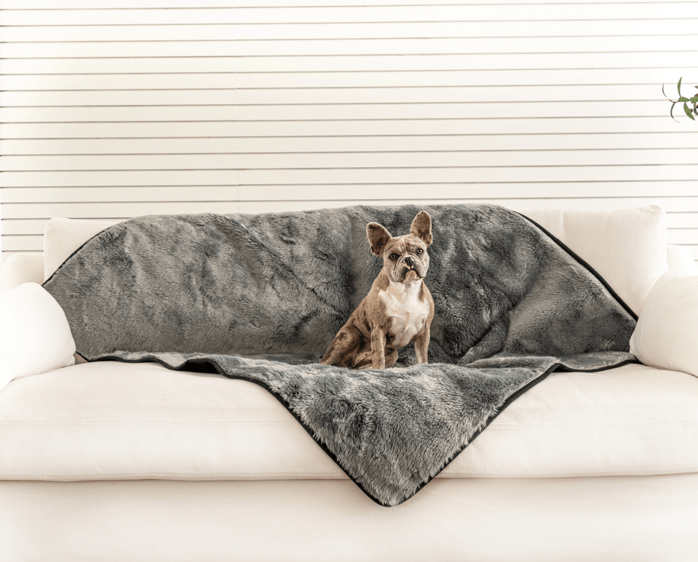 Charcoal Faux Fur Waterproof Throw for Dogs – Paw.com