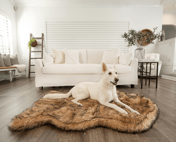 Luxe Dog Bed - Curve Sable Tan Rug – Paw.com